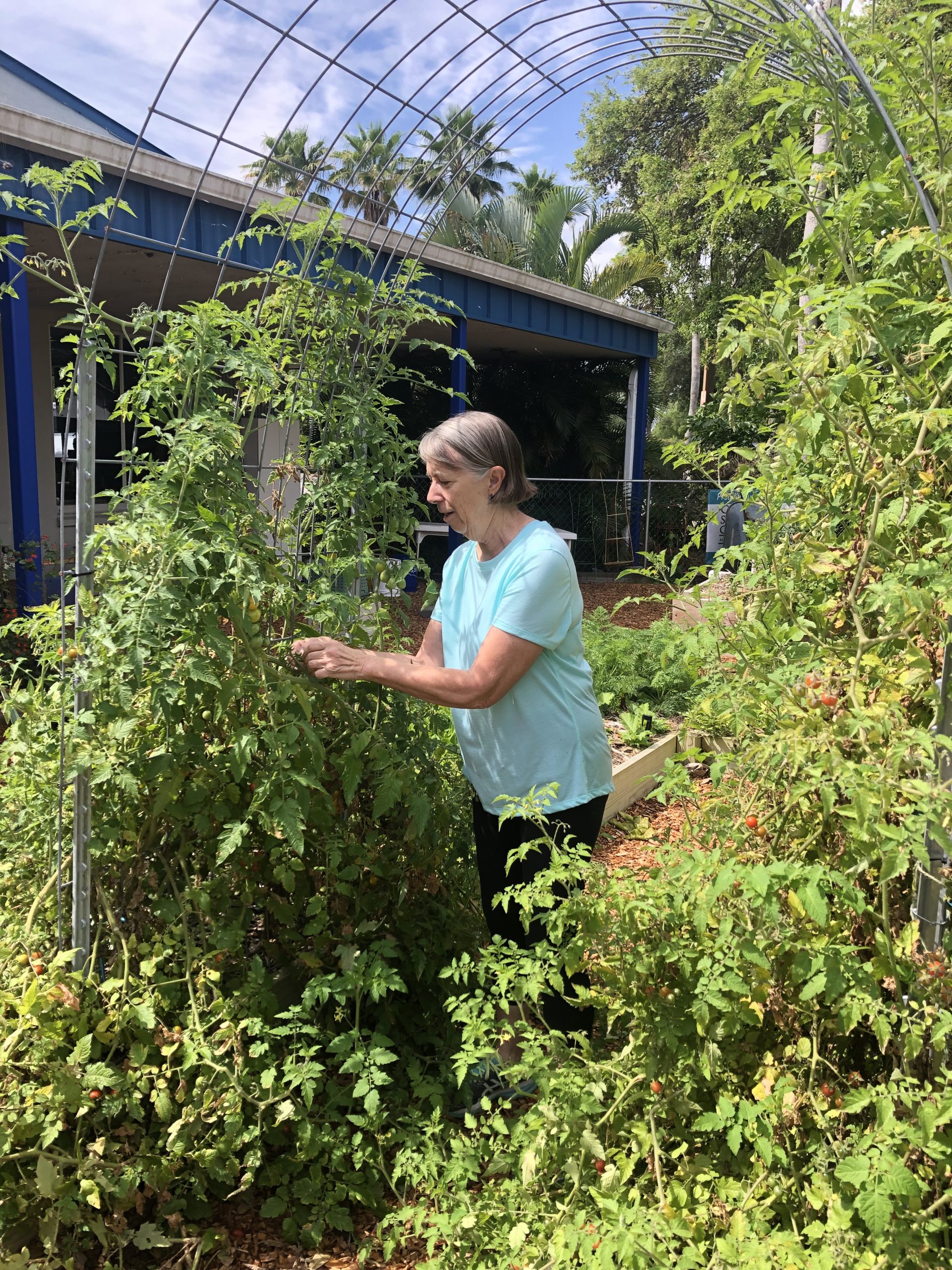 Volunteer Testimonials - YMCA of the Treasure Coast